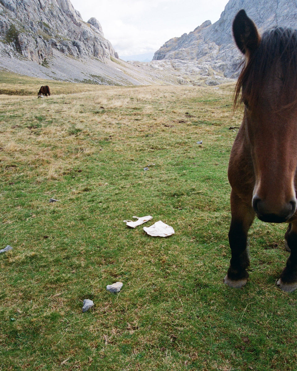 5 Senses #3 with Jenn Roberts – Lake Jane